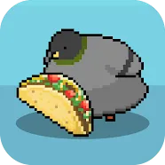 Pigeon Games