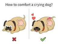 [Download] Brain Out 2 - QooApp Game Store