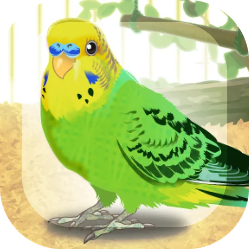 Parakeet Pet - Games