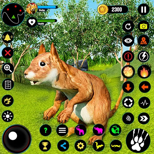 Wild Squirrel Family Life Game - Games