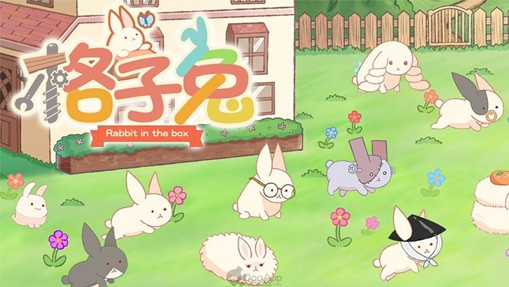 Rabbit in the box - Games